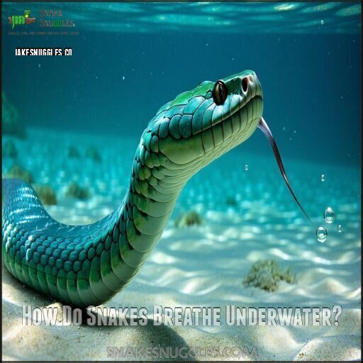 How Snakes Breathe: Lungs, Nostrils, and Surprising Secrets!