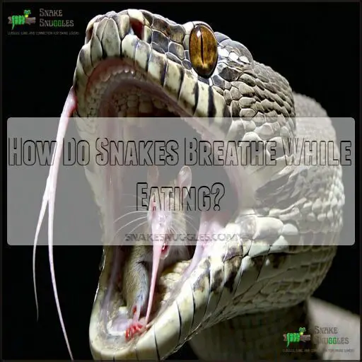 How Snakes Breathe: Lungs, Nostrils, and Surprising Secrets!