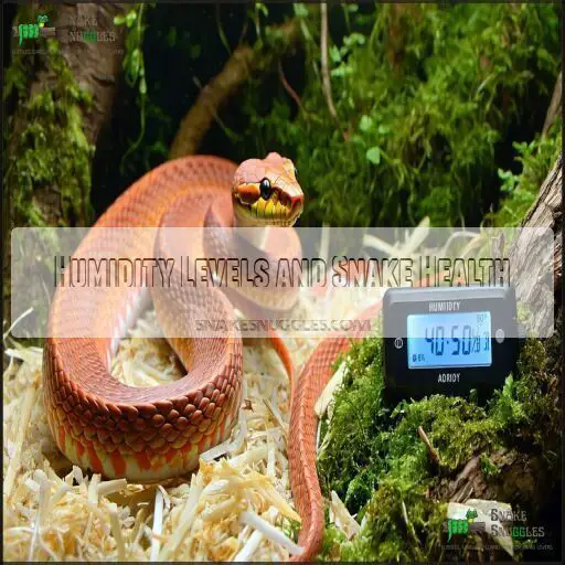 Best Substrate for Corn Snakes: Top 8 Bedding Picks for 2025