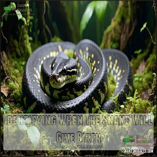 How to Breed a Snake: Experts' Top Secrets Revealed!