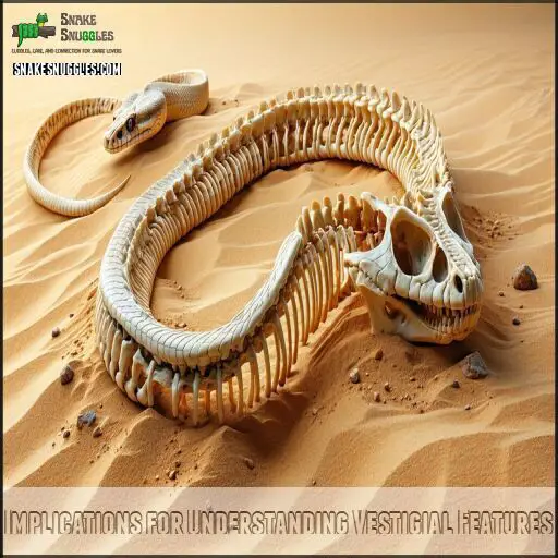 Do Snakes Have Hips? Surprising Facts About Their Evolution