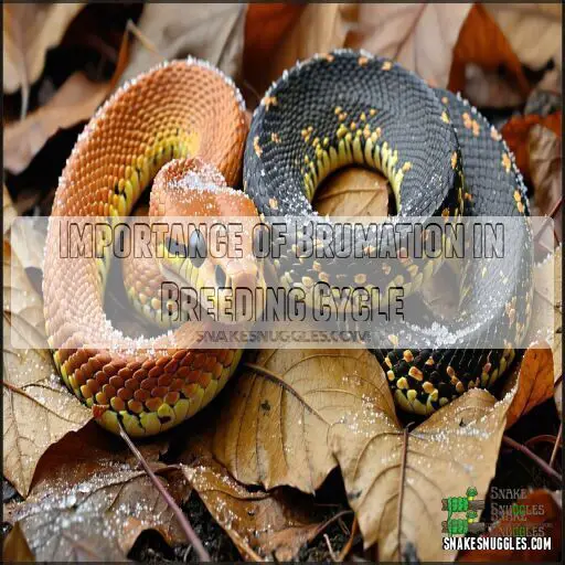 Breeding Corn Snakes: Secrets Pro Breeders Use to Make Babies!