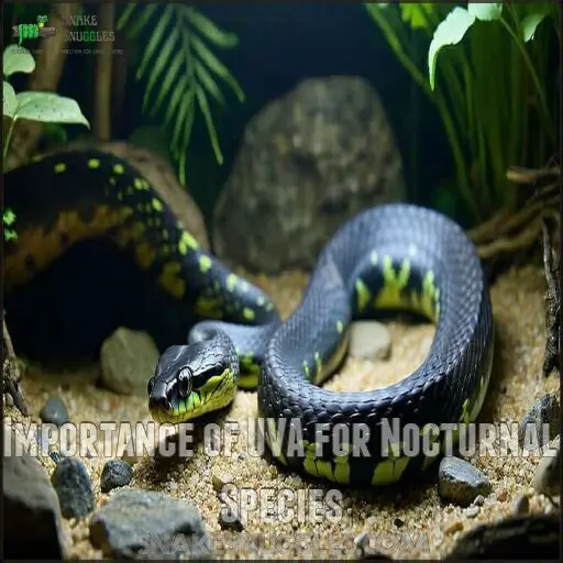 Do Snakes Need UVB Lighting? The Shocking Truth Owners Must Know Now!