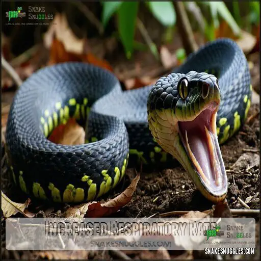 Signs of Illness in Boas: 7 Critical Health Warning Signs to Know