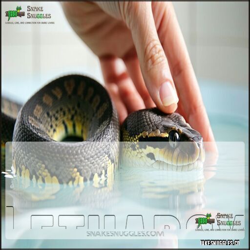 How to Bathe a Snake: Easy Steps Every Reptile Owner Should Know