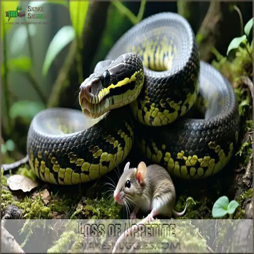 How to Bathe a Snake: Easy Steps Every Reptile Owner Should Know