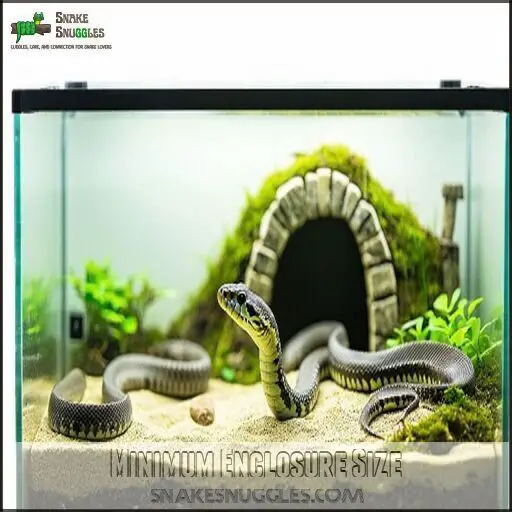 Western Hognose Snake Care: Expert Herpetologist's Guide!