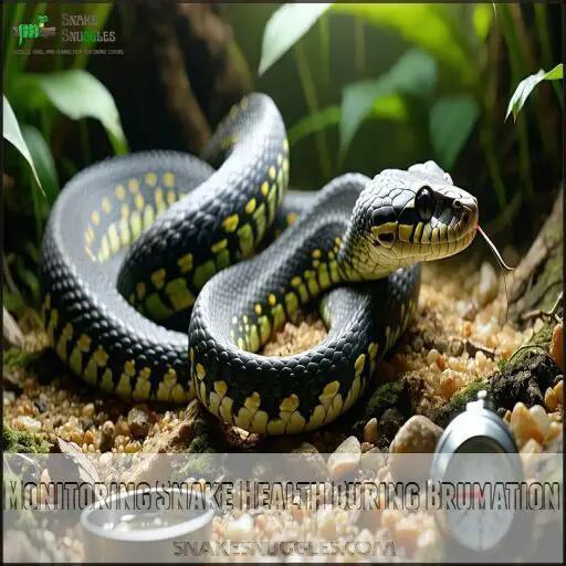 Breeding Corn Snakes: Secrets Pro Breeders Use to Make Babies!