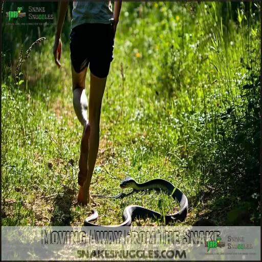 How to Handle a Snake Bite Emergency: Steps to Save a Life