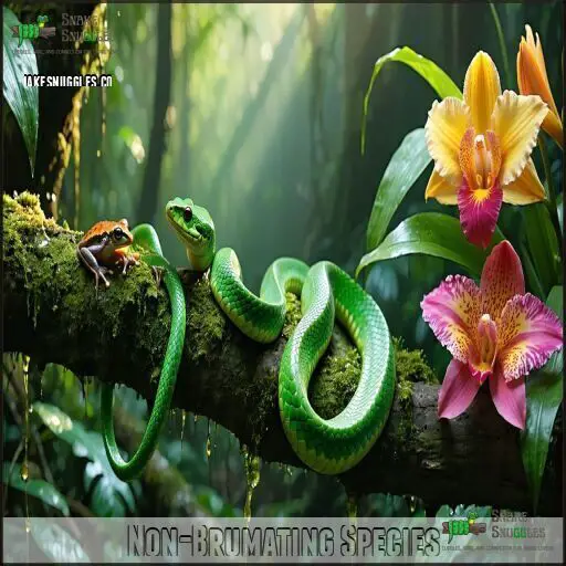 Do Snakes Hibernate? Brumation Explained + Species That Do & Don’t