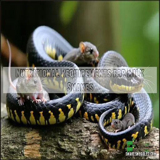 What Do Milk Snakes Eat? 7 Surprising Prey Items You Never Knew About!