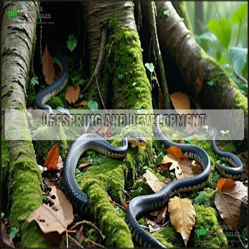 How Do Snakes Mate? Mating Balls, Rituals, and Reproduction Explained