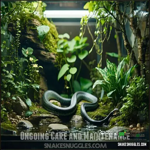 Snake Enclosure Setup: Pro Tips for Healthy Happy Serpents!