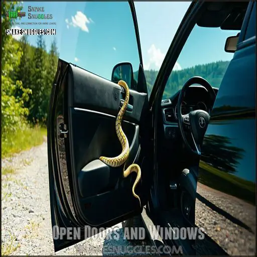 Snake Got in Car? Here's How It Happens and What to Do Next!