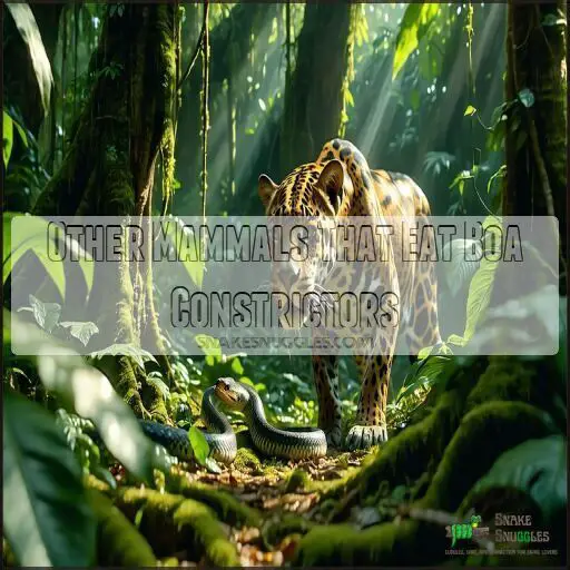 Predators of Boa Constrictors: 10 Shocking Animals That Hunt These Snakes