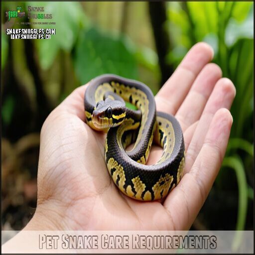 Friendly Pet Snake Breeds: 9 Cuddly Reptiles for Beginners!