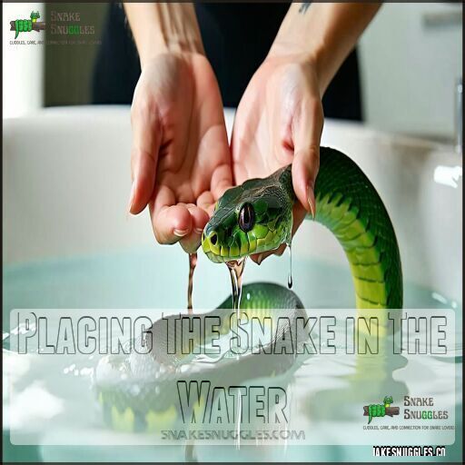 How to Bathe a Snake: Easy Steps Every Reptile Owner Should Know