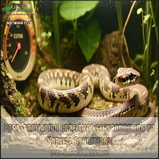Breeding Corn Snakes: Secrets Pro Breeders Use to Make Babies!