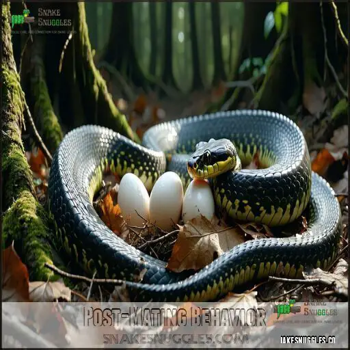 How Do Snakes Mate? Mating Balls, Rituals, and Reproduction Explained