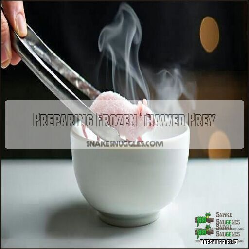 Feeding Frozen Thawed Corn Snakes: 5 Simple Steps for Success