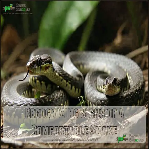 9 Snake Body Language Secrets Only Pros Know About!