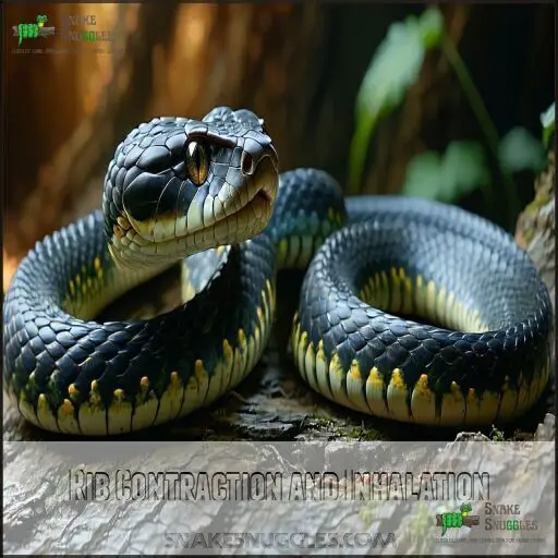 How Snakes Breathe: Lungs, Nostrils, and Surprising Secrets!