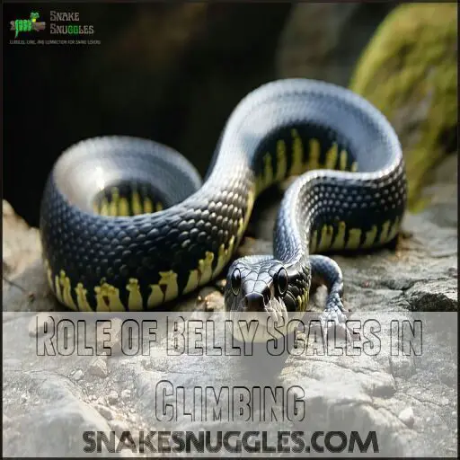 How Do Snakes Move? 4 Fascinating Ways Snakes Slither Without Legs