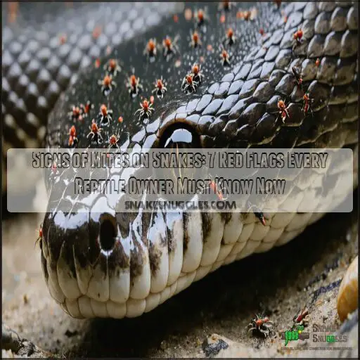 Signs of Mites on Snakes: 7 Red Flags Every Reptile Owner Must Know Now