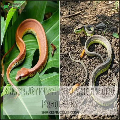 How Much to Feed a Snake: Expert Guide for Perfect Portions 2025
