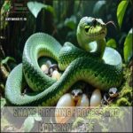 How Many Babies Do Snakes Have? Fascinating Facts About Snake Offspring
