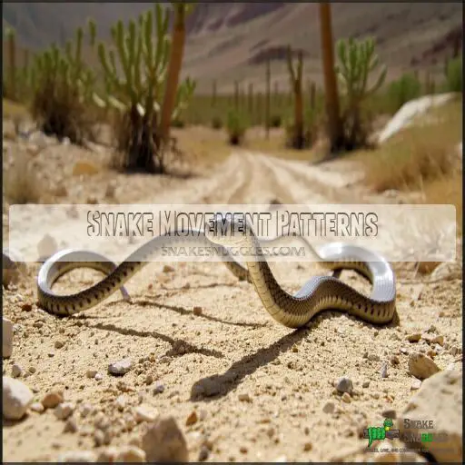 How Do Snakes Move? 4 Fascinating Ways Snakes Slither Without Legs