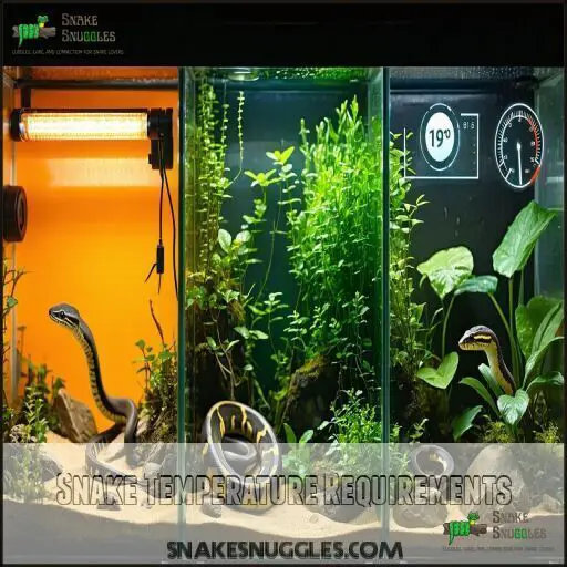 Best Temperature for Different Snake Breeds: Keep Your Pet Healthy