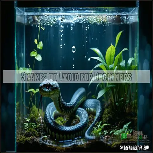 Best Small Snake Species: 7 Tiny Pets Perfect for Beginners & Small Spaces