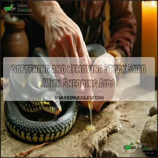 Handling a Snake With Stuck Shed: Tips to Safely Help Your Reptile