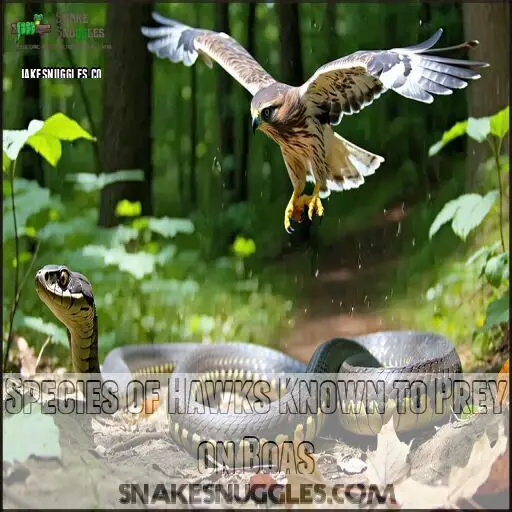 Predators of Boa Constrictors: 10 Shocking Animals That Hunt These Snakes