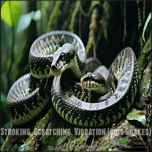 How Do Snakes Mate? Mating Balls, Rituals, and Reproduction Explained