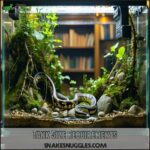 Ball Python Tank Size: Pro Secrets for The Perfect Habitat Setup!