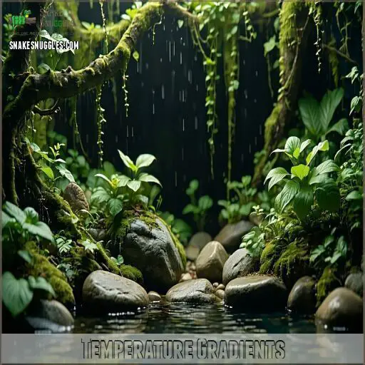 Reptile Humidity Levels: 7 Proven Tricks for Perfect Enclosure Moisture