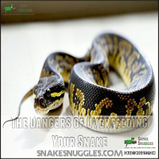 How Much to Feed a Snake: Expert Guide for Perfect Portions 2025