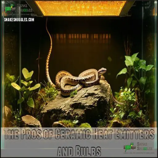 Snake Health Heating Tips: 5 Pro Secrets to Warm Reptile Havens!