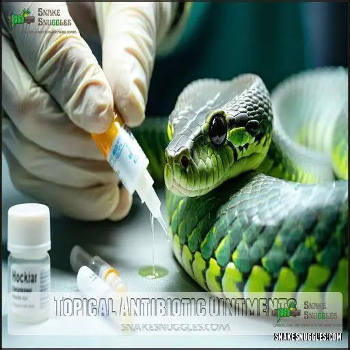 Safe Snake Antibiotics for Infections: Top Treatments and Tips