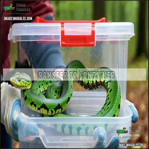 How to Catch a Snake Safely With Pictures: Expert Tips!