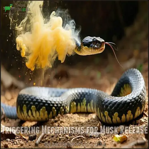 Why Do Snakes Musk? The Surprising Reason Behind This Stinky Defense