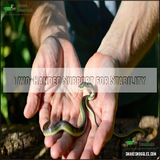 Snake Wrapping and Handling: Safe Practices to Avoid Bites and Stress Snake Wrapping and Handling: Safe Practices to Avoid Bites and Stress