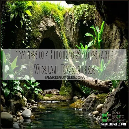 Ball Python Habitat: Your Pro Guide to Creating Perfect Enclosures