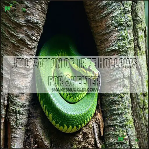 How Do Green Tree Pythons Survive Nature's Most Brutal Attacks?