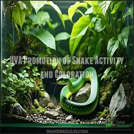 Do Snakes Need UVB Lighting? The Shocking Truth Owners Must Know Now!