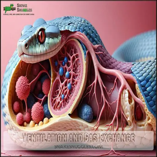 Do Snakes Give Off Carbon Dioxide 2? Shocking Truth About Snake Breath!