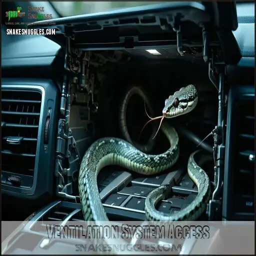 Snake Got in Car? Here's How It Happens and What to Do Next!