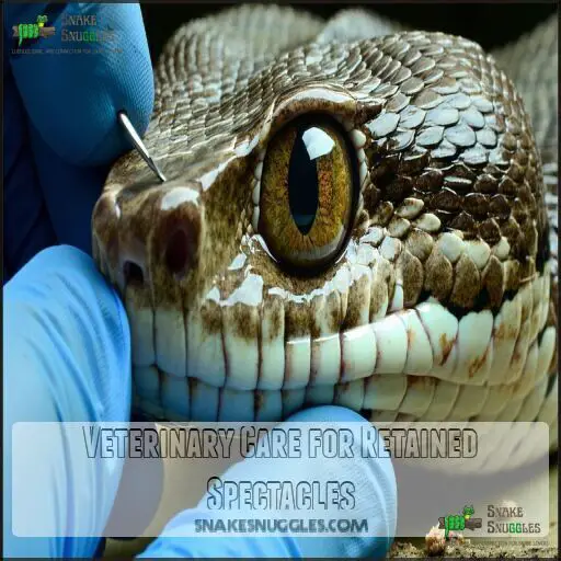 Snakes Eye Caps Won't Come Off? Tips to Help Your Snake Shed Safely